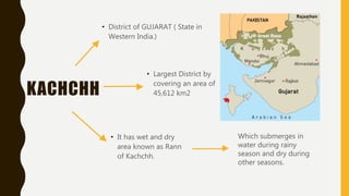 Architecture & Crafts of Bhuj, Kutch, Gujarat | PPTX