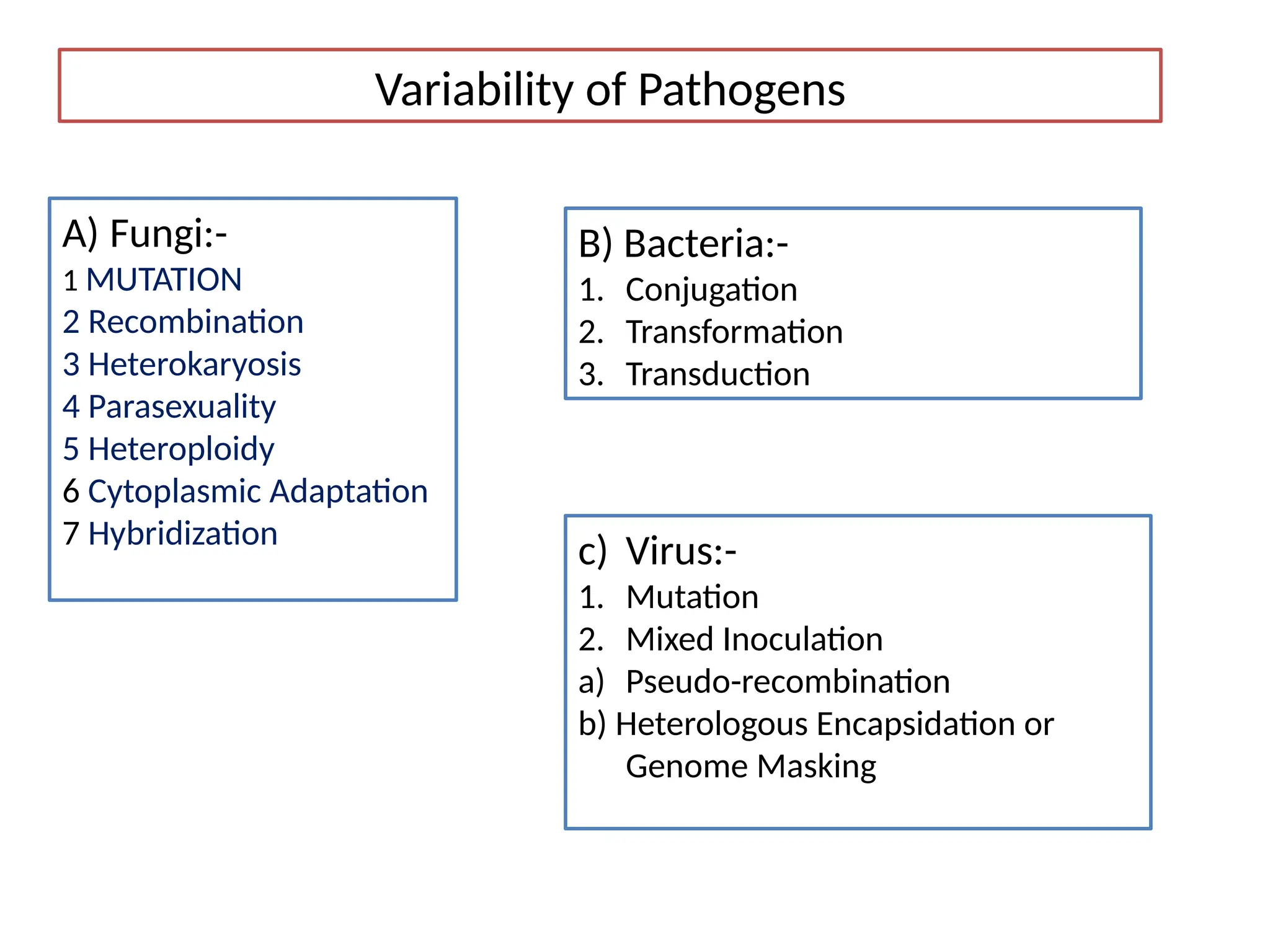 Bhunbhhfhdhhdjuduureshwari sahu (PPP).pptx