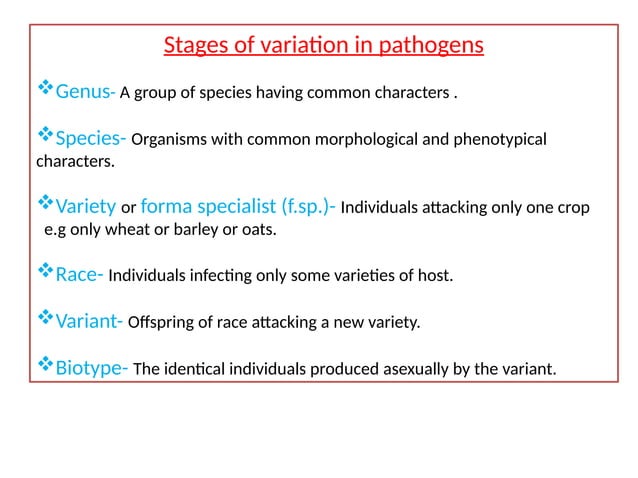 Bhunbhhfhdhhdjuduureshwari sahu (PPP).pptx