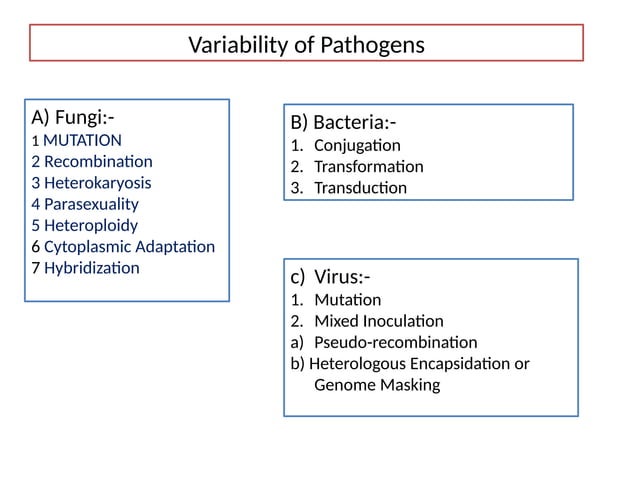 Bhunbhhfhdhhdjuduureshwari sahu (PPP).pptx