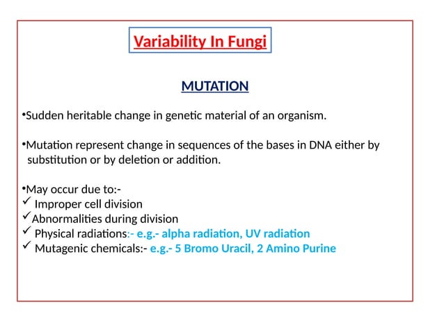 Bhunbhhfhdhhdjuduureshwari sahu (PPP).pptx