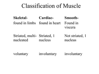 Musculature in vertebrates | PPT