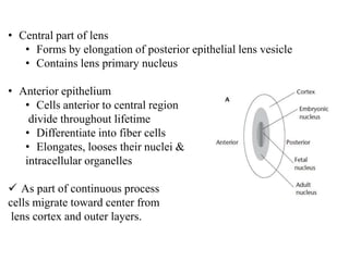 Bhupi clinical genetics cataract | PPTX
