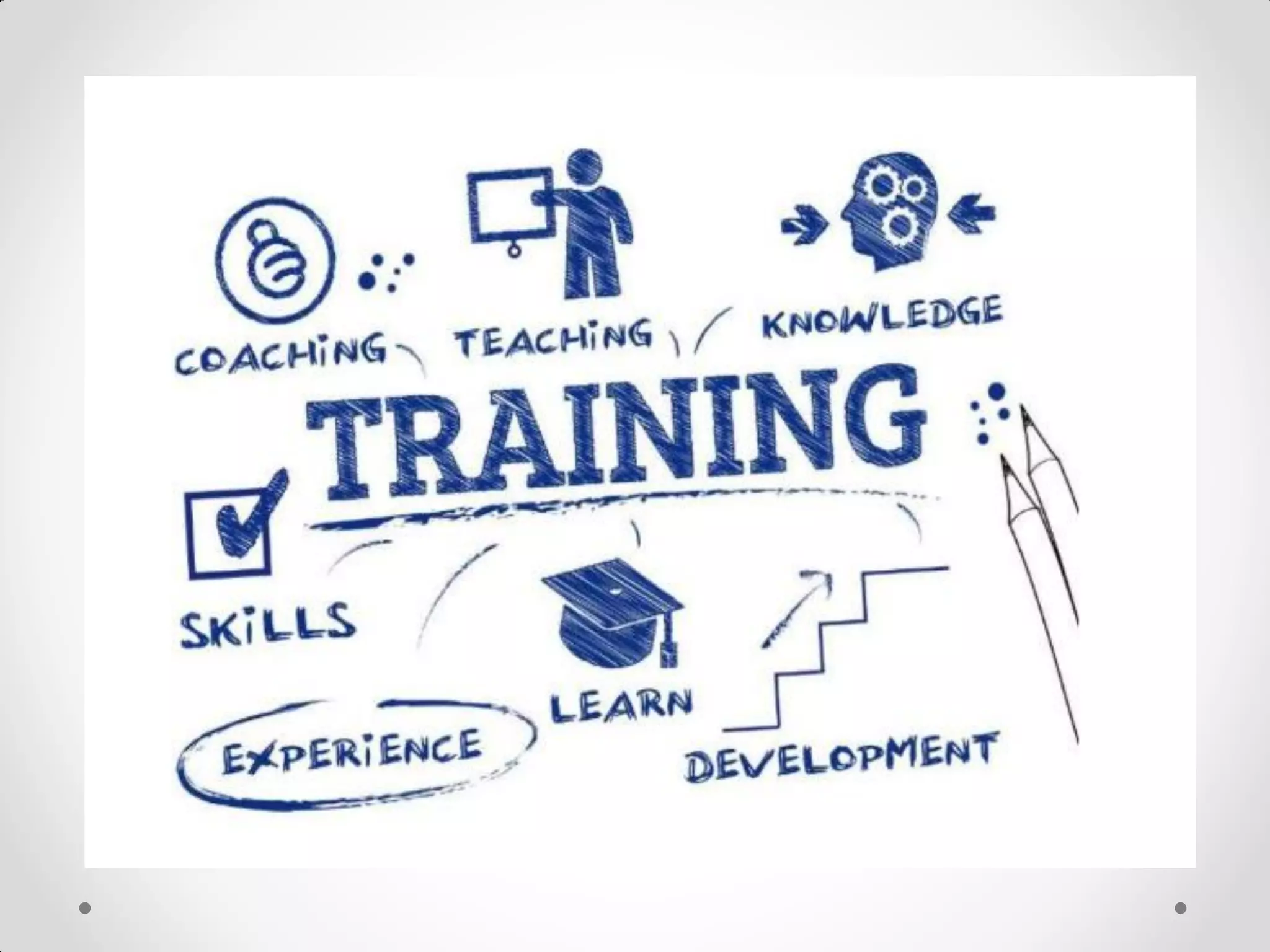 Training and development | PDF