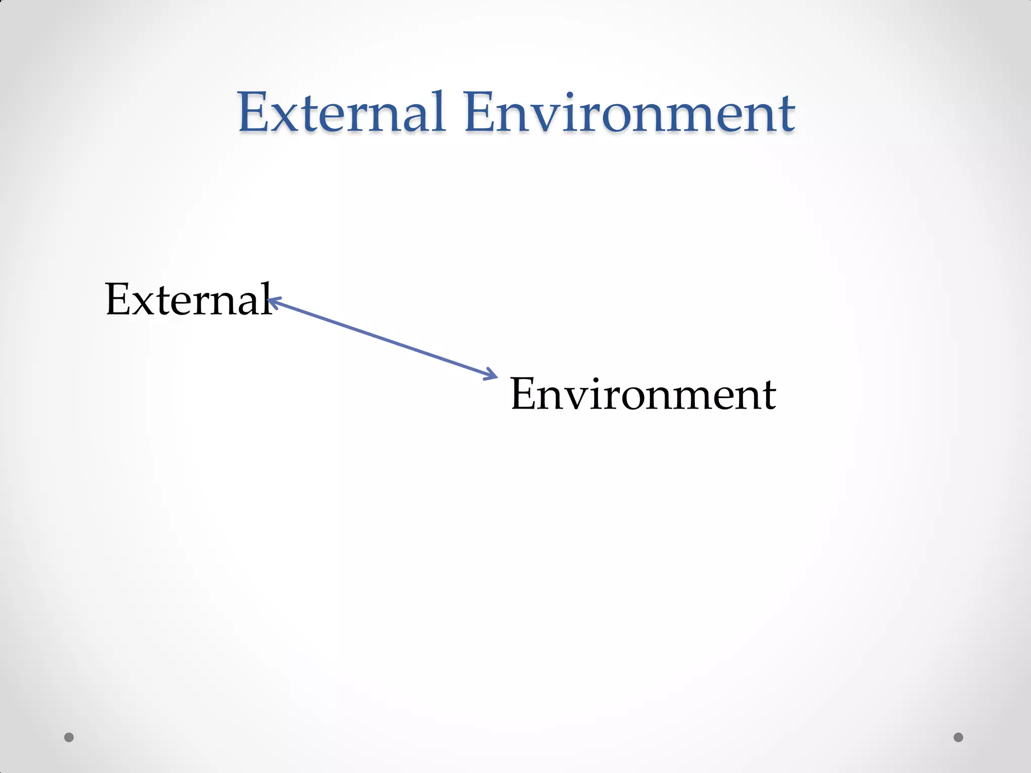 External environment | PDF