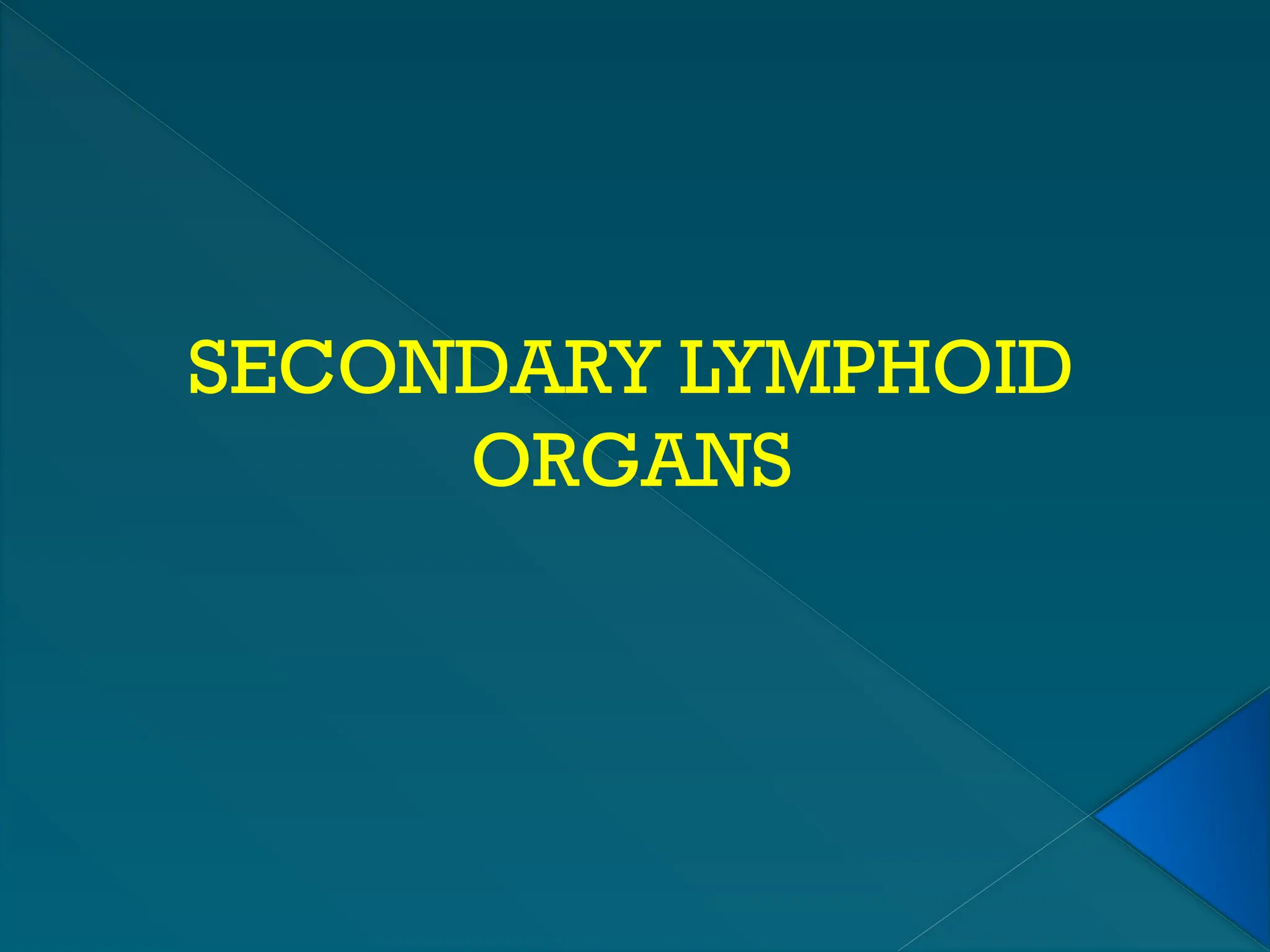 Secondary Lymphoid Organs -Immunotechnology | PPTX