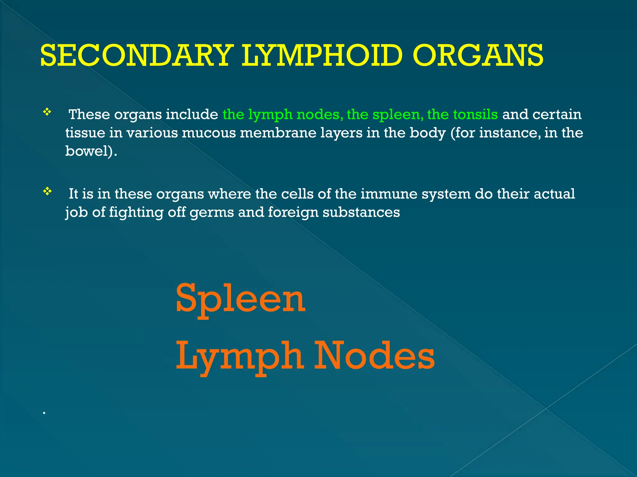 Secondary Lymphoid Organs -Immunotechnology | PPTX