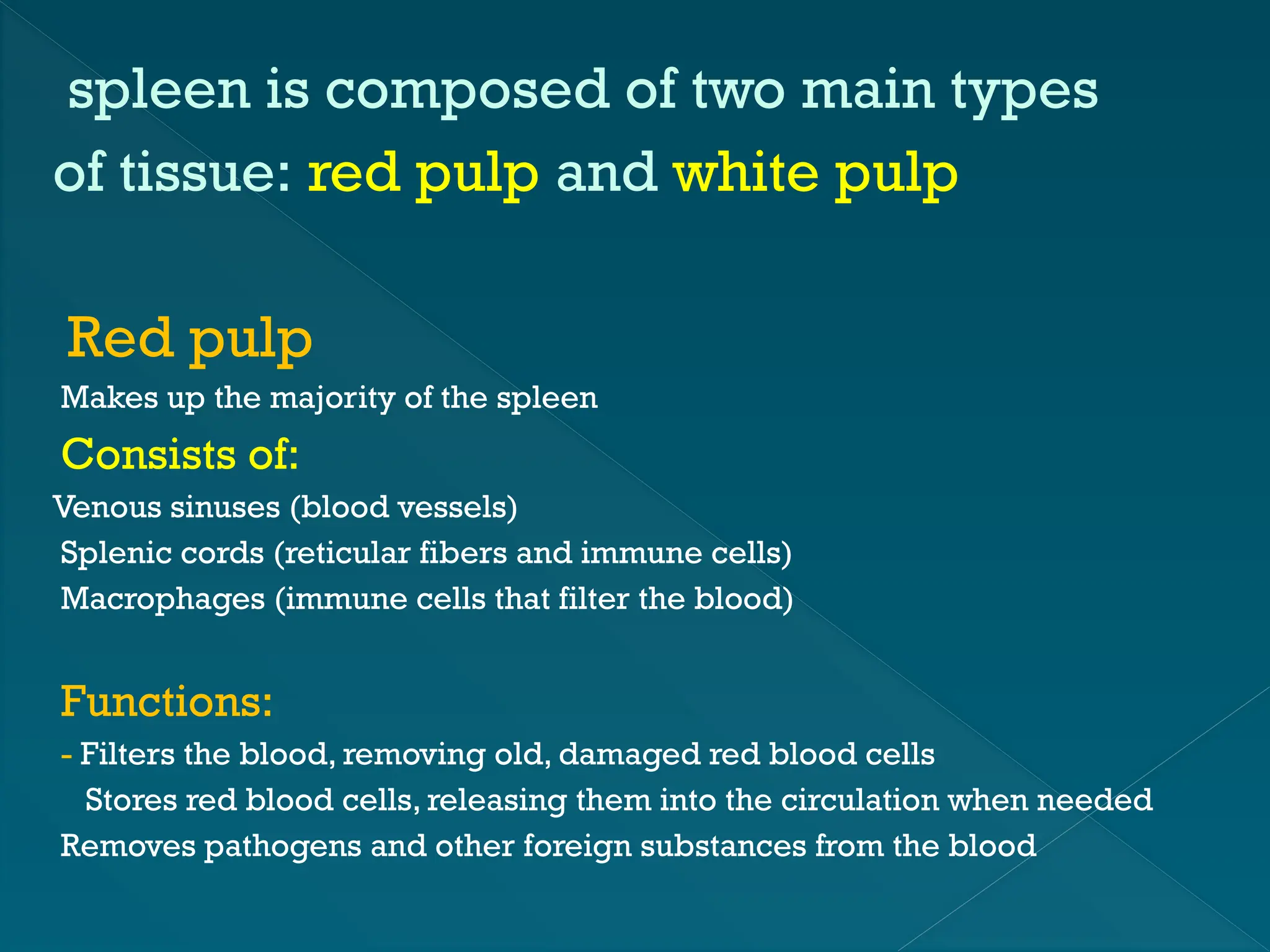 Secondary Lymphoid Organs -Immunotechnology | PPTX