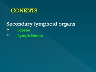 Secondary Lymphoid Organs -Immunotechnology | PPT