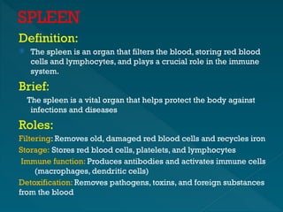 Secondary Lymphoid Organs -Immunotechnology | PPT