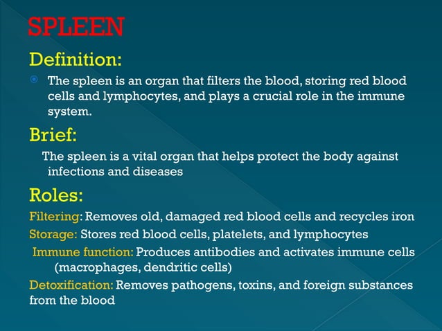 Secondary Lymphoid Organs -Immunotechnology | PPT