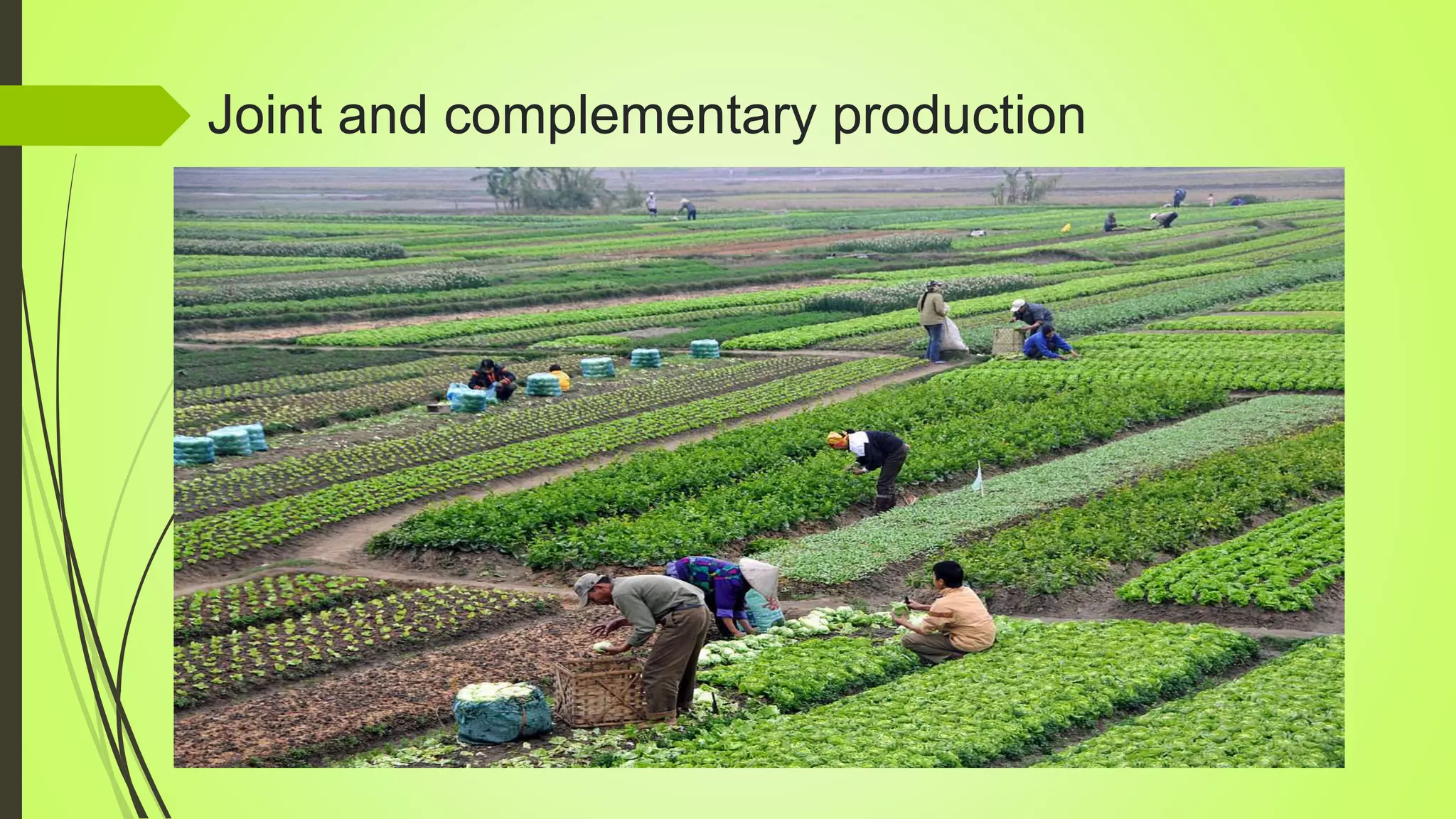 principle of combining enterprises and principle of comparative ...