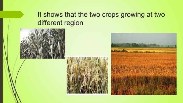 Principle Of Combining Enterprises And Principle Of Comparative