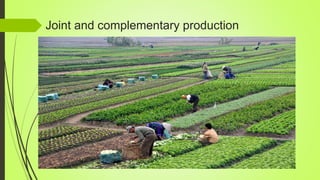 principle of combining enterprises and principle of comparative ...