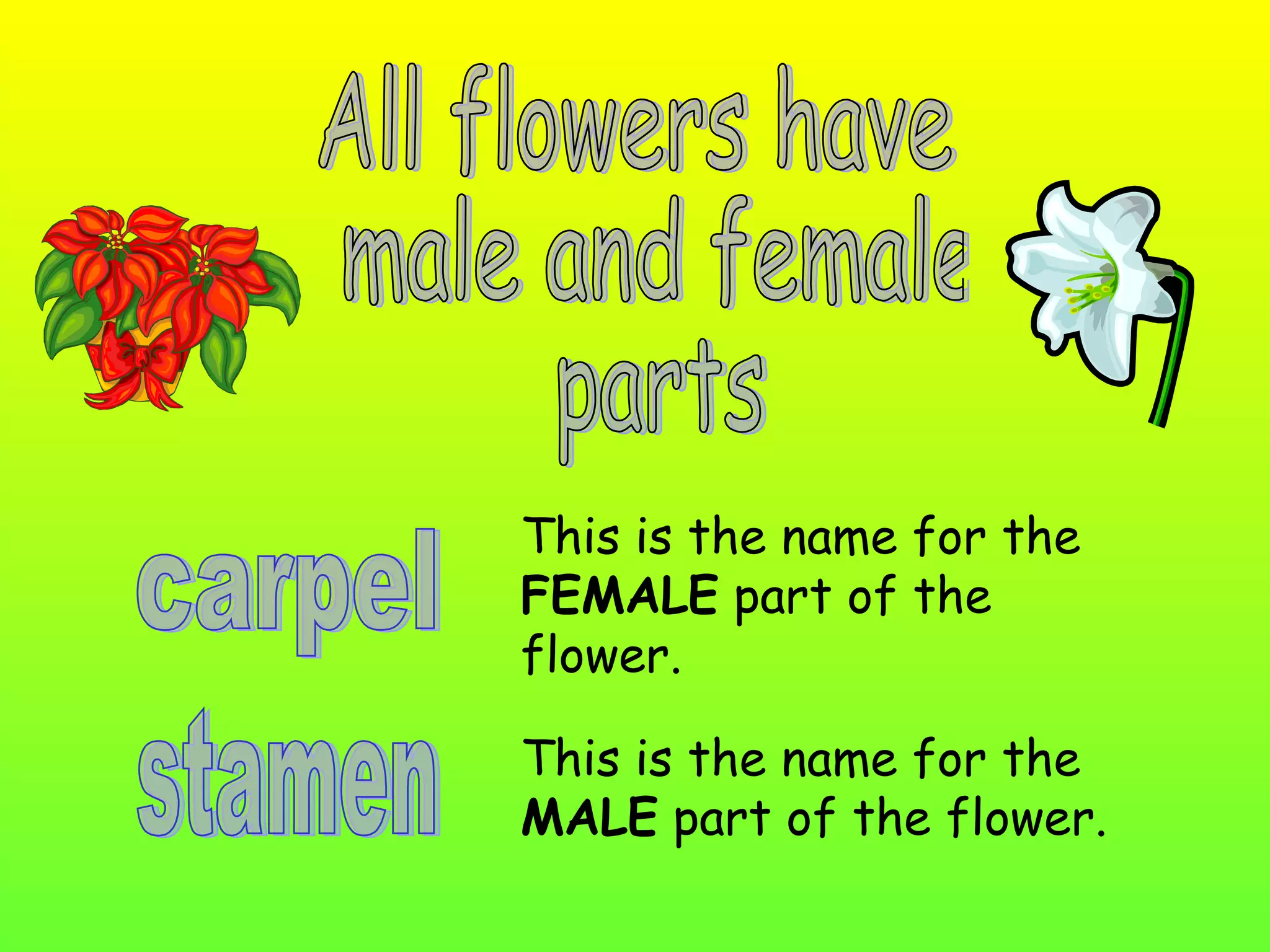 Biology ppt on parts of flower | PPT