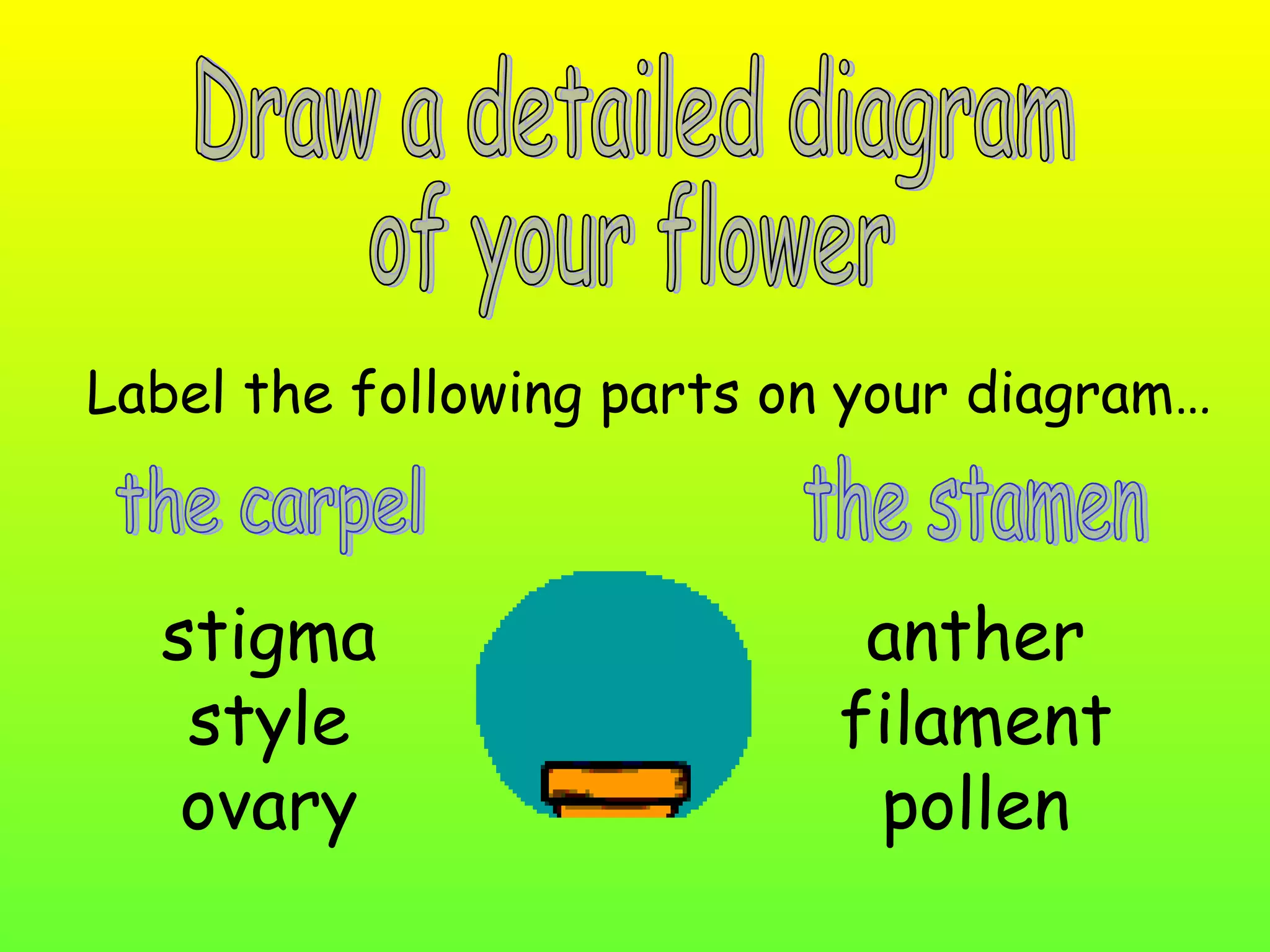 Biology ppt on parts of flower | PPT