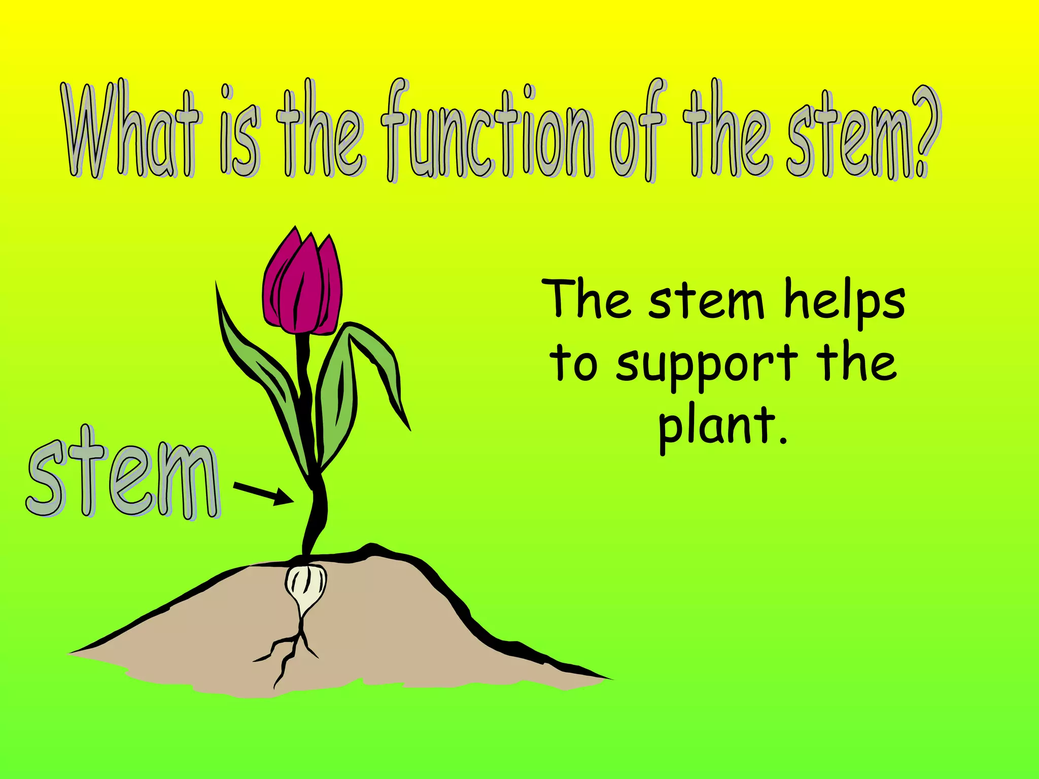 Biology ppt on parts of flower | PPT