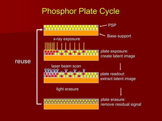 COMPUTED RADIOGRAPHY | PPT