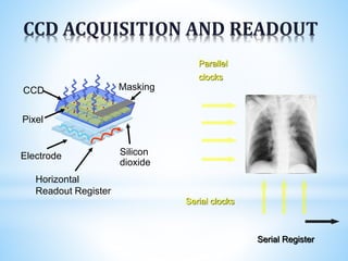 DIGITAL RADIOGRAPHY | PPTX