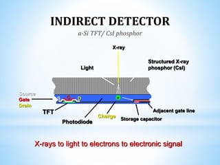 DIGITAL RADIOGRAPHY | PPT