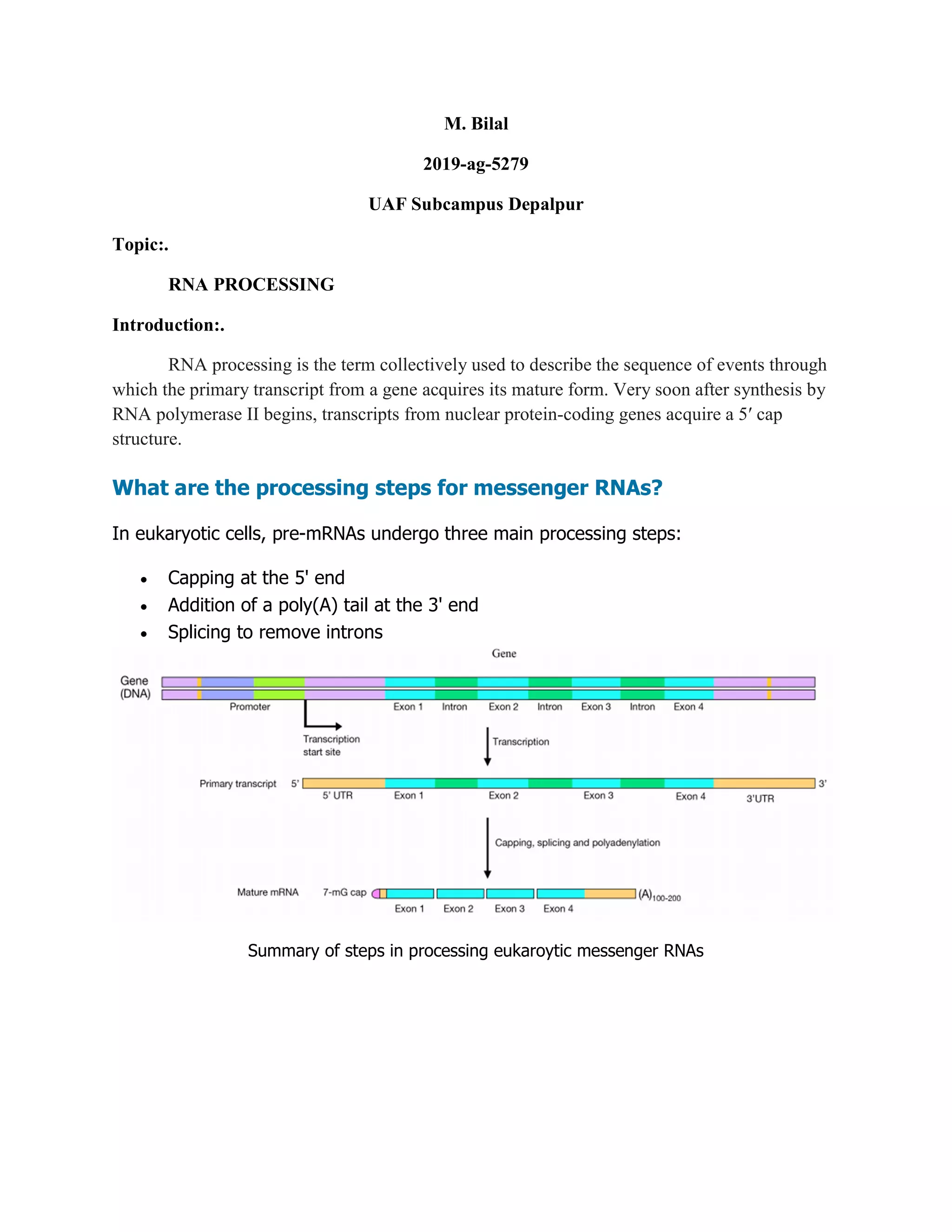 RNA Processing | PDF
