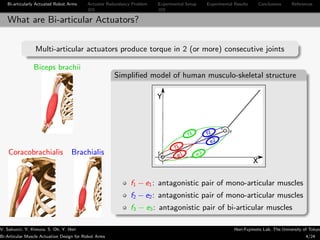 Bi-articular Muscle Actuation Design for Robot Arms | PPT