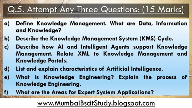 Business Intelligence (May – 2019) [Choice Based | Question Paper] | PDF