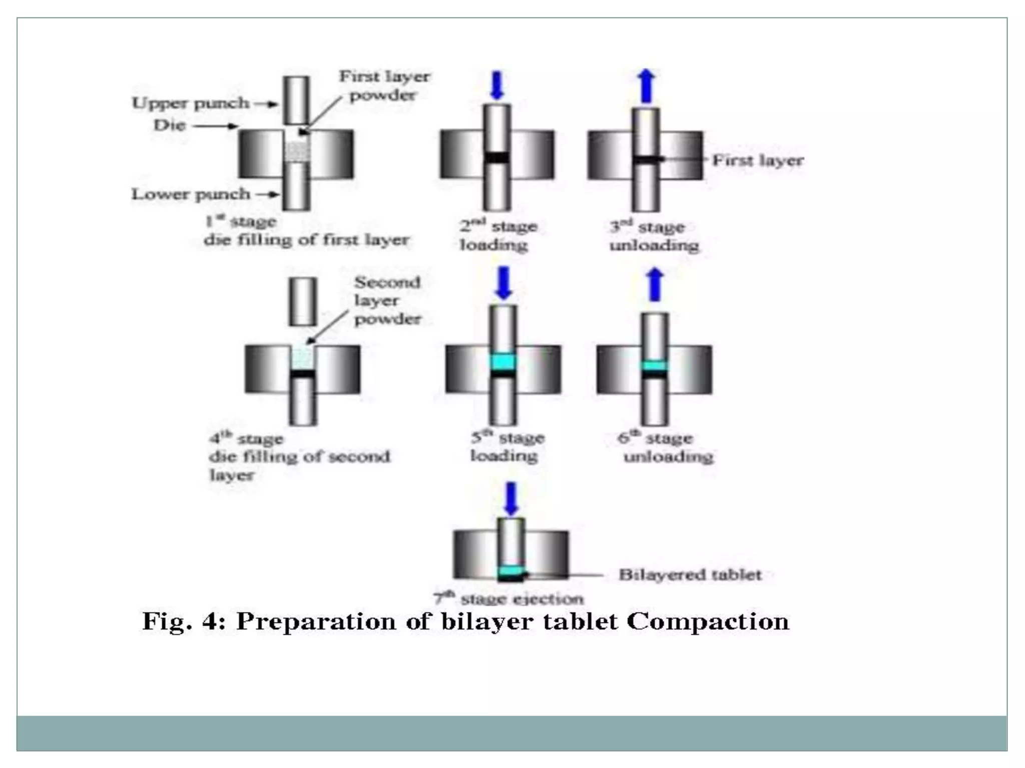 Bi-layer tablet.pptx