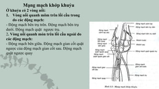Bài-thuyết-trình-của-nhóm-1-lớp-YK23B-bộ-môn-giải-phẫu-học-phân-Khuỷu ...