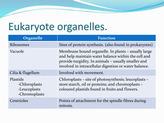 Life at the cellular level | PPTX