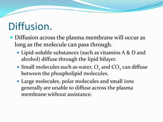 The plasma membrane and material transport | PPTX