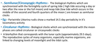 bi0logical rhythms.pptx