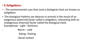 bi0logical rhythms.pptx