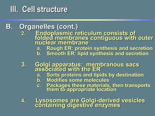 Biology cell.ppt