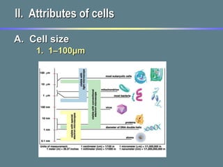 Biology cell.ppt