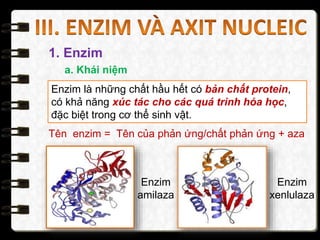 Bài 11: Peptit - Protein | PPTX