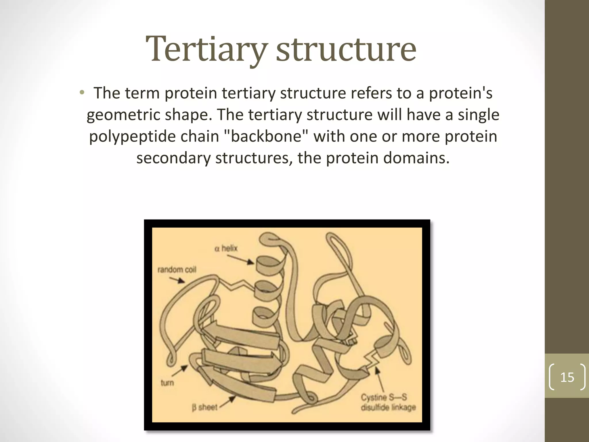 Protein 3D structure and classification database | PPTX