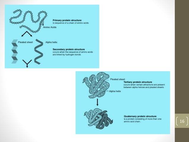 Protein 3D structure and classification database | PPTX | Chemistry ...