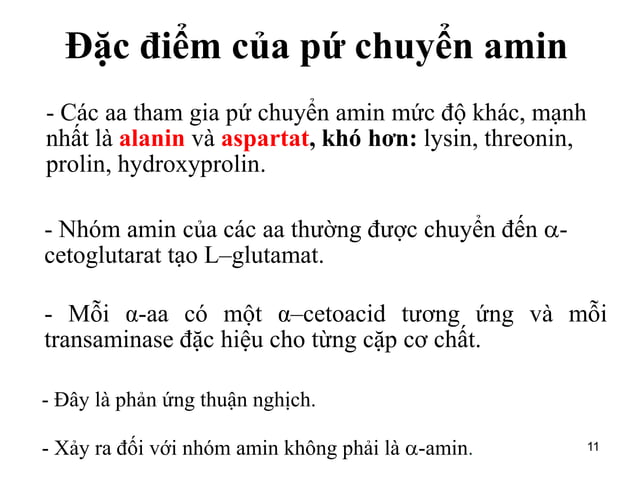 Chuyển Hóa Protid | PPT