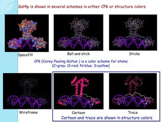Molecular viewers | PPTX