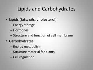 The cell and its importance to biotech, Module 2, BI 140 | PPT