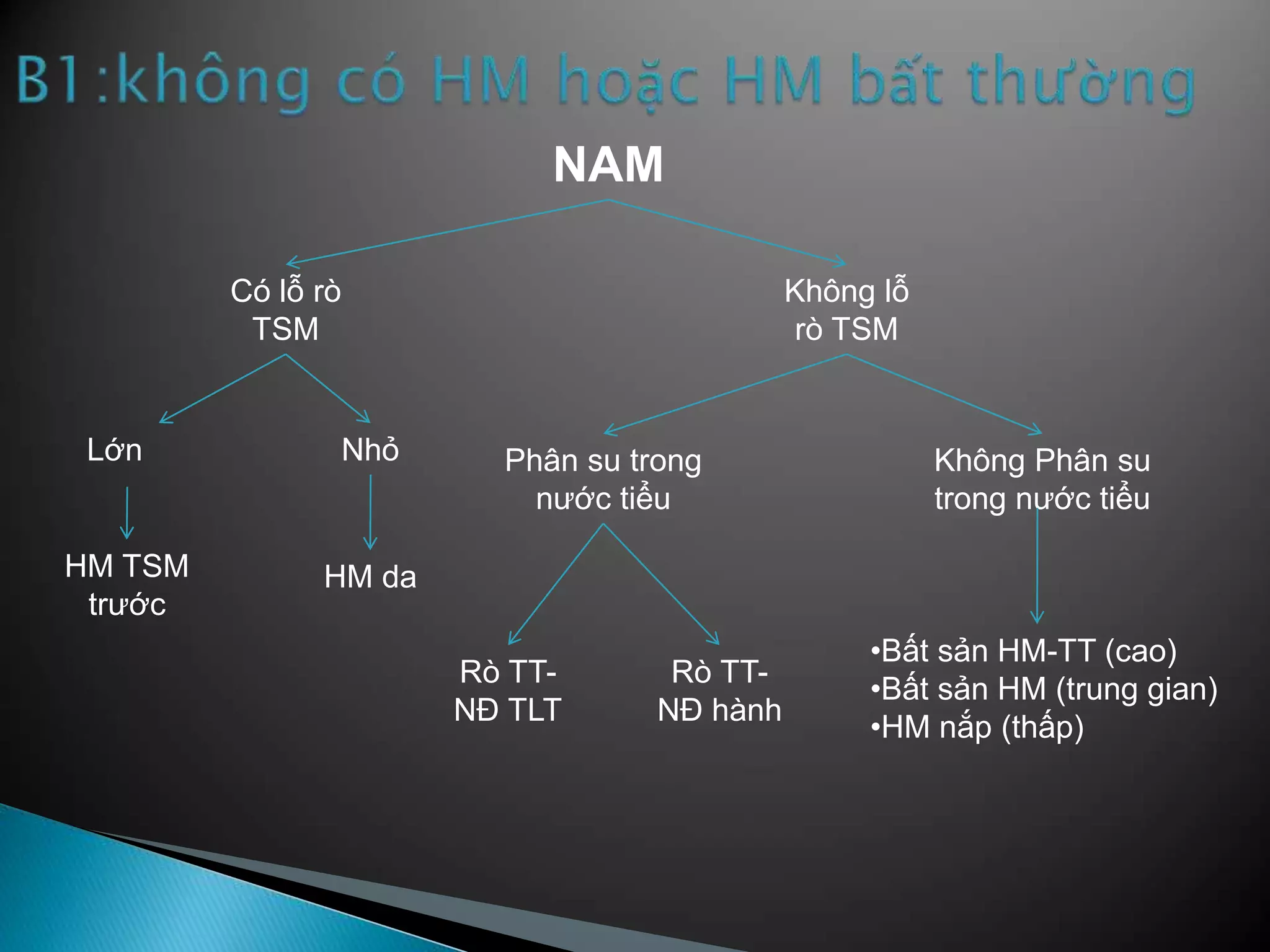 Bài 17. Dị dạng HMTT (Nhi).pptx
