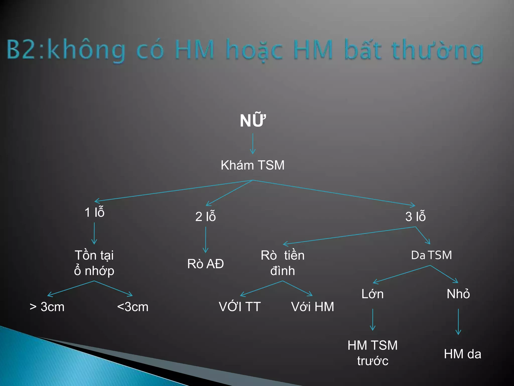 Bài 17. Dị dạng HMTT (Nhi).pptx