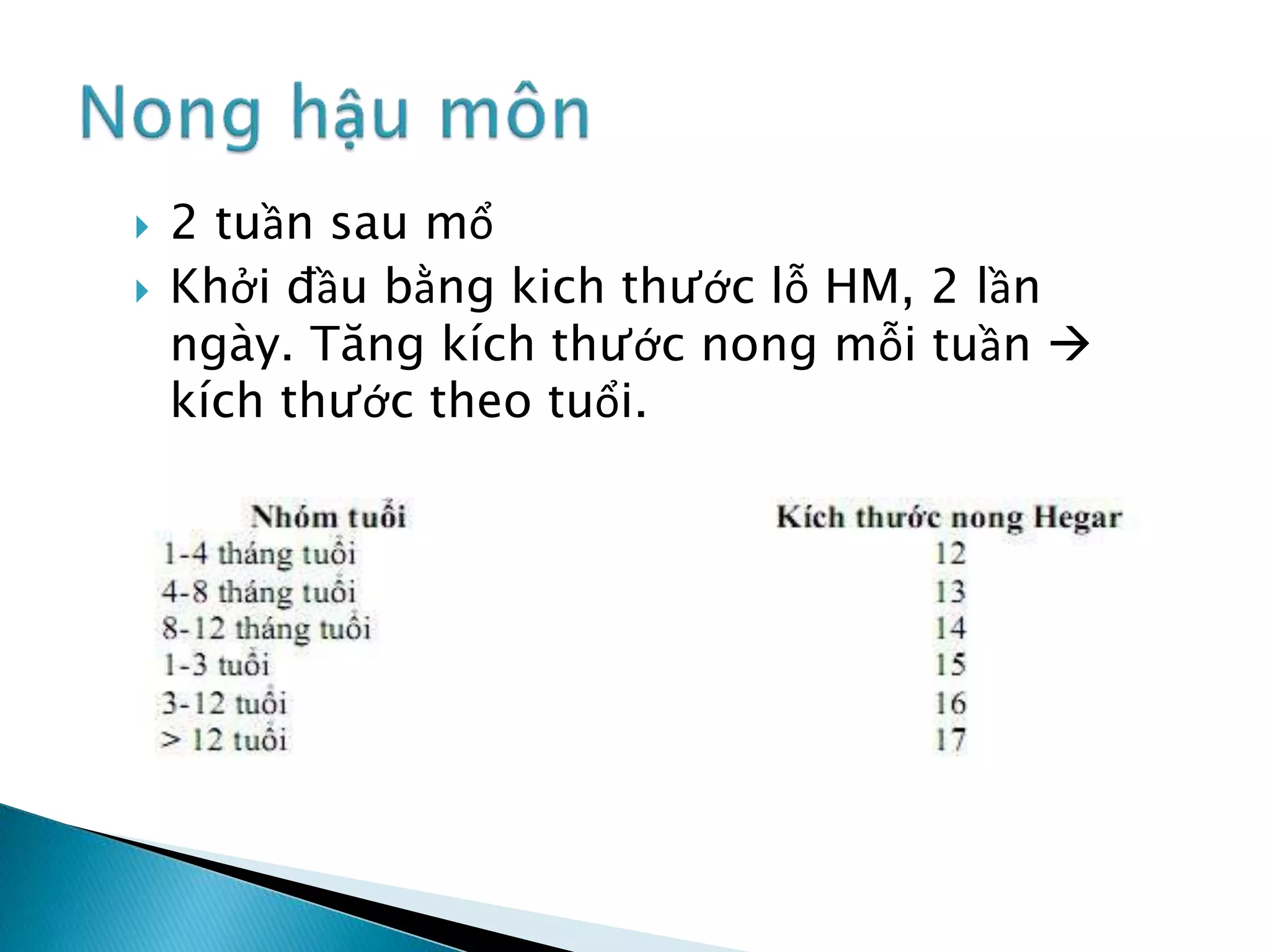 Bài 17. Dị dạng HMTT (Nhi).pptx