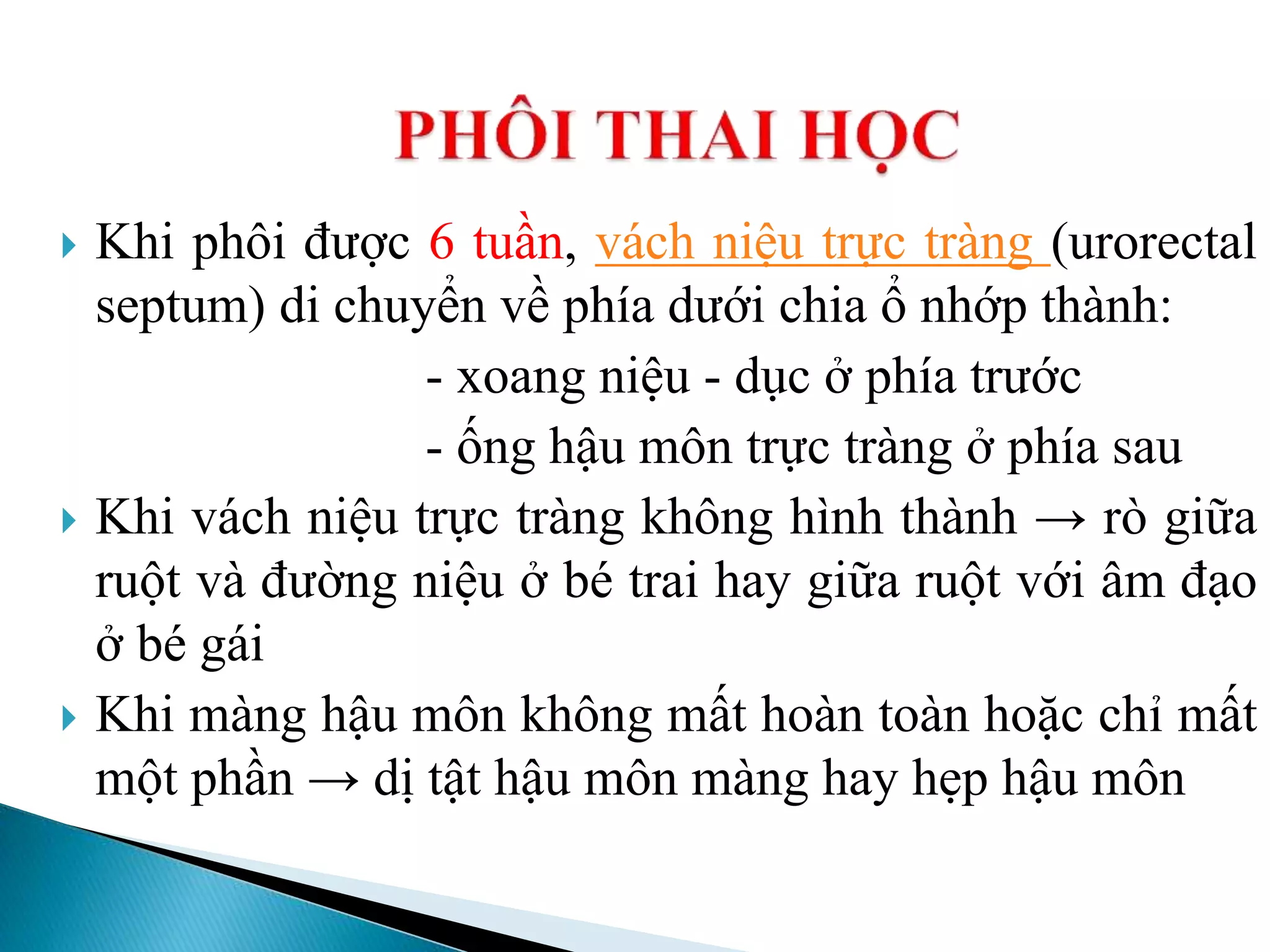 Bài 17. Dị dạng HMTT (Nhi).pptx