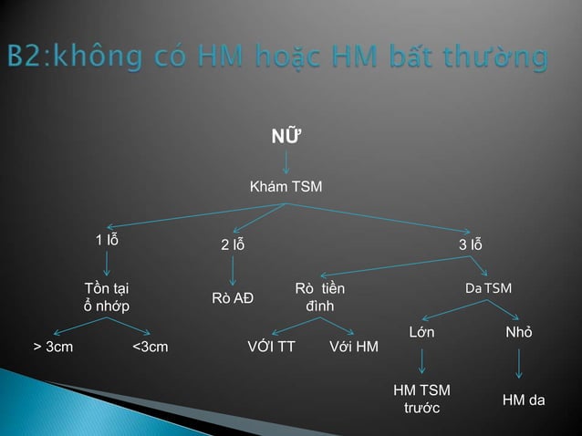 Bài 17. Dị dạng HMTT (Nhi).pptx