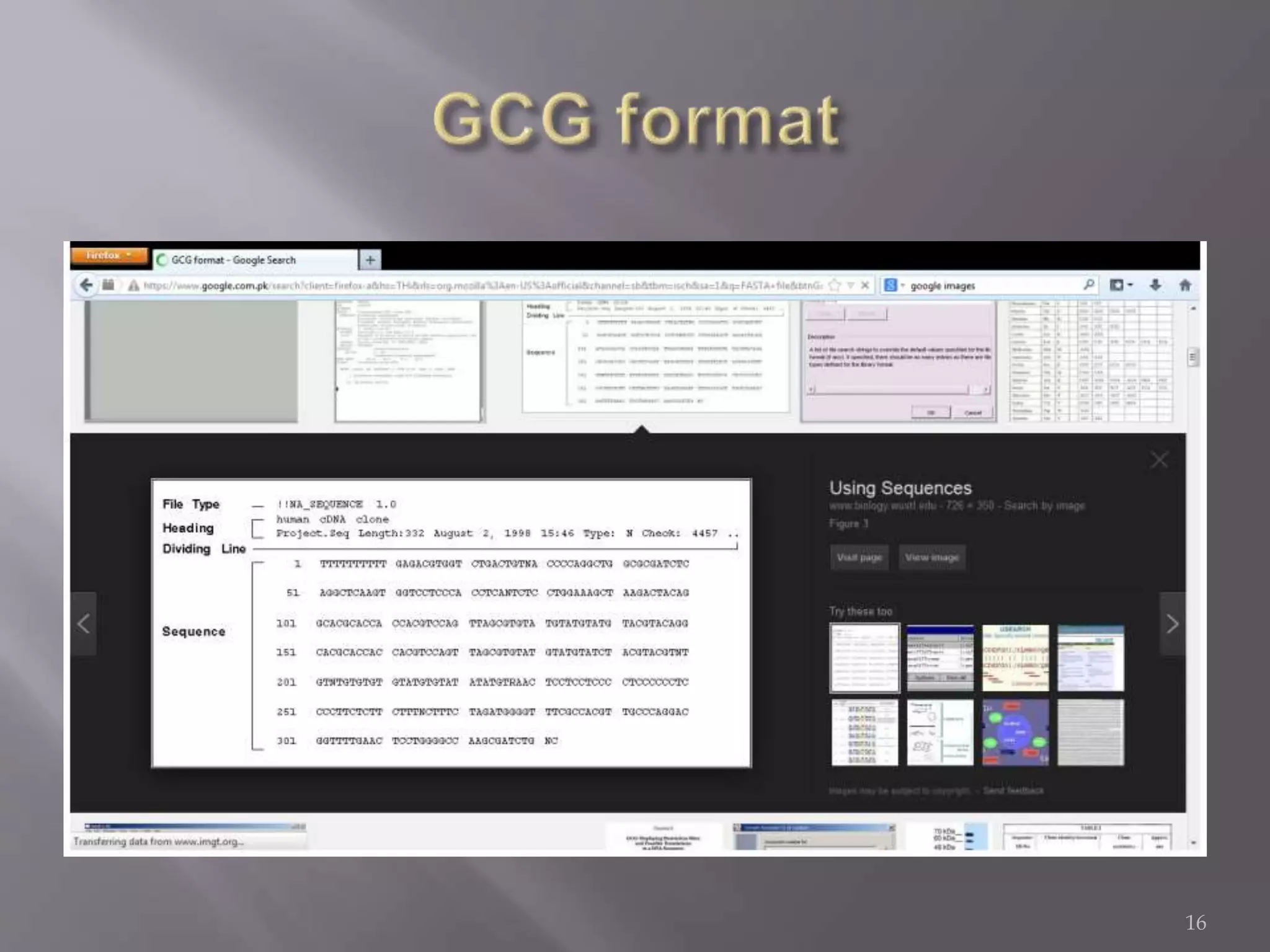 sequence of file formats in bioinformatics | PPTX