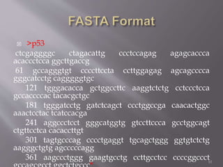 sequence of file formats in bioinformatics | PPTX