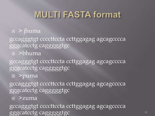 sequence of file formats in bioinformatics | PPTX