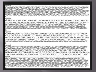 sequence of file formats in bioinformatics | PPTX